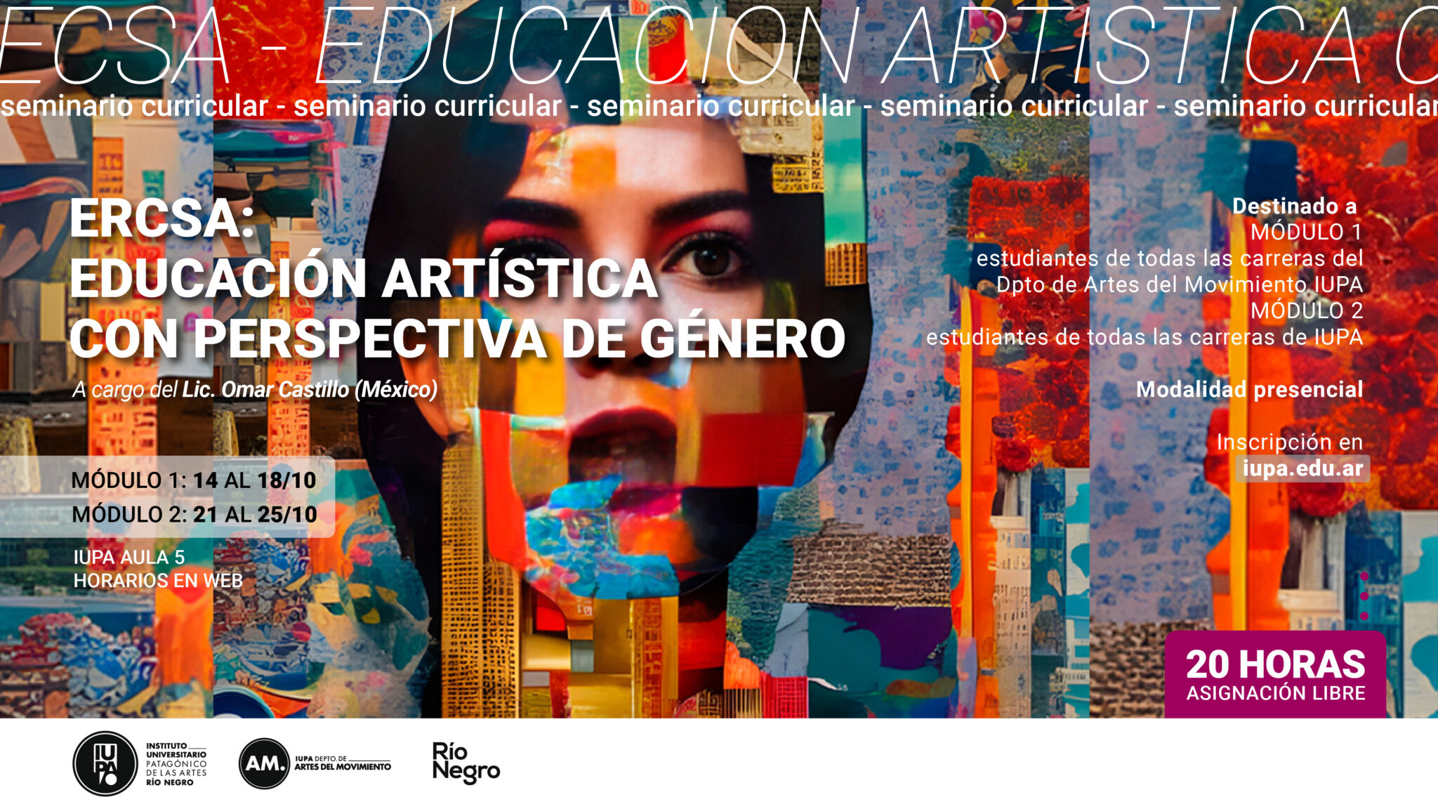 Instituto Universitario Patagonico de las Artes » Seminario “ERCSA ...